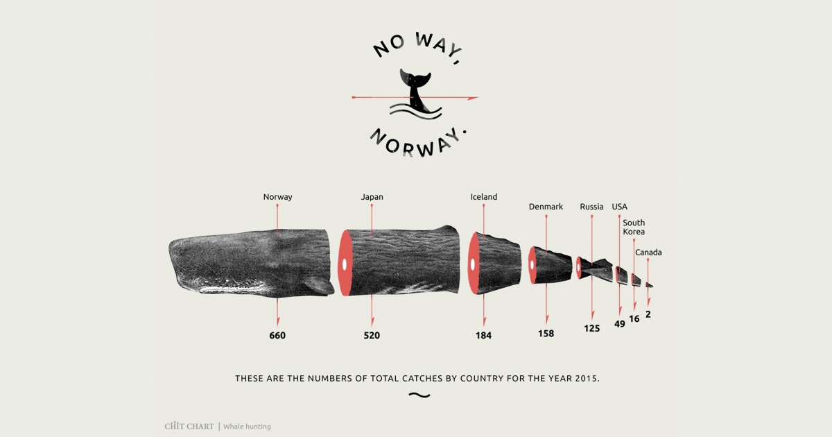 Whale hunting | Chit Chart